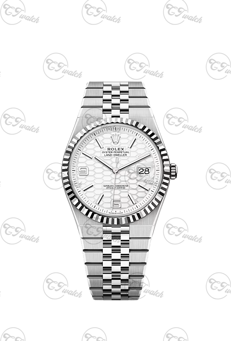 Clean Production Land Dweller2025 Land Ambassador Clone Watch 40MM